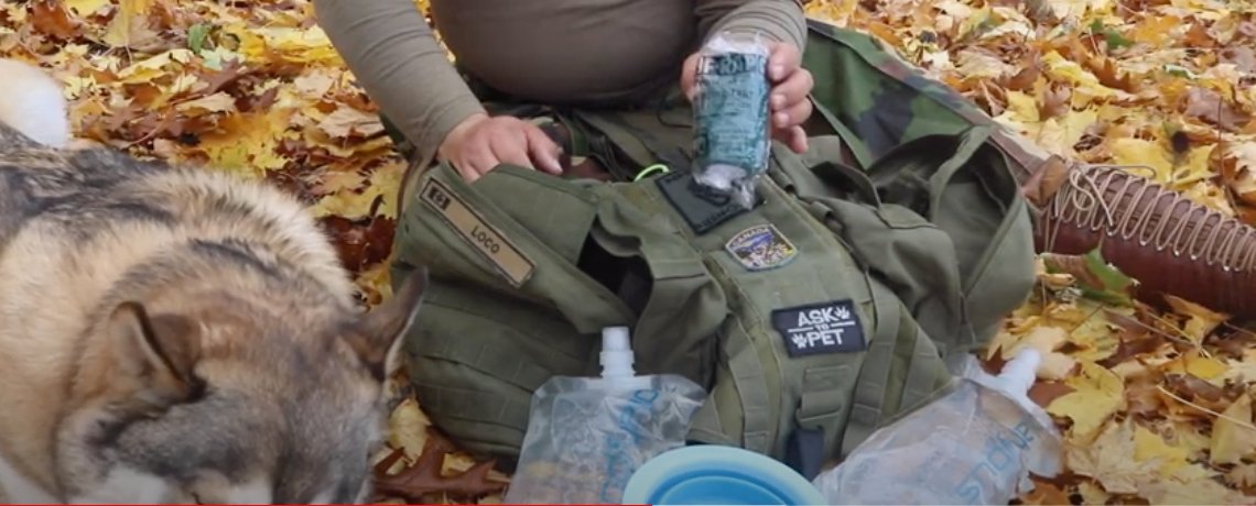 Packing Your Dogs Pack [Video] – Wilkołaak